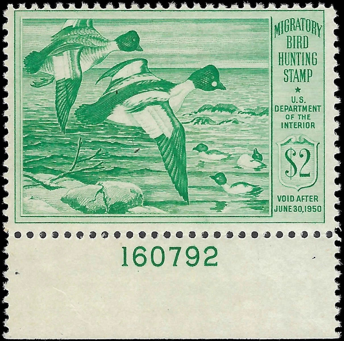 c1949 - Scott RW16 Hunting Permit Duck Stamp - MNH, OG with some Dist ...